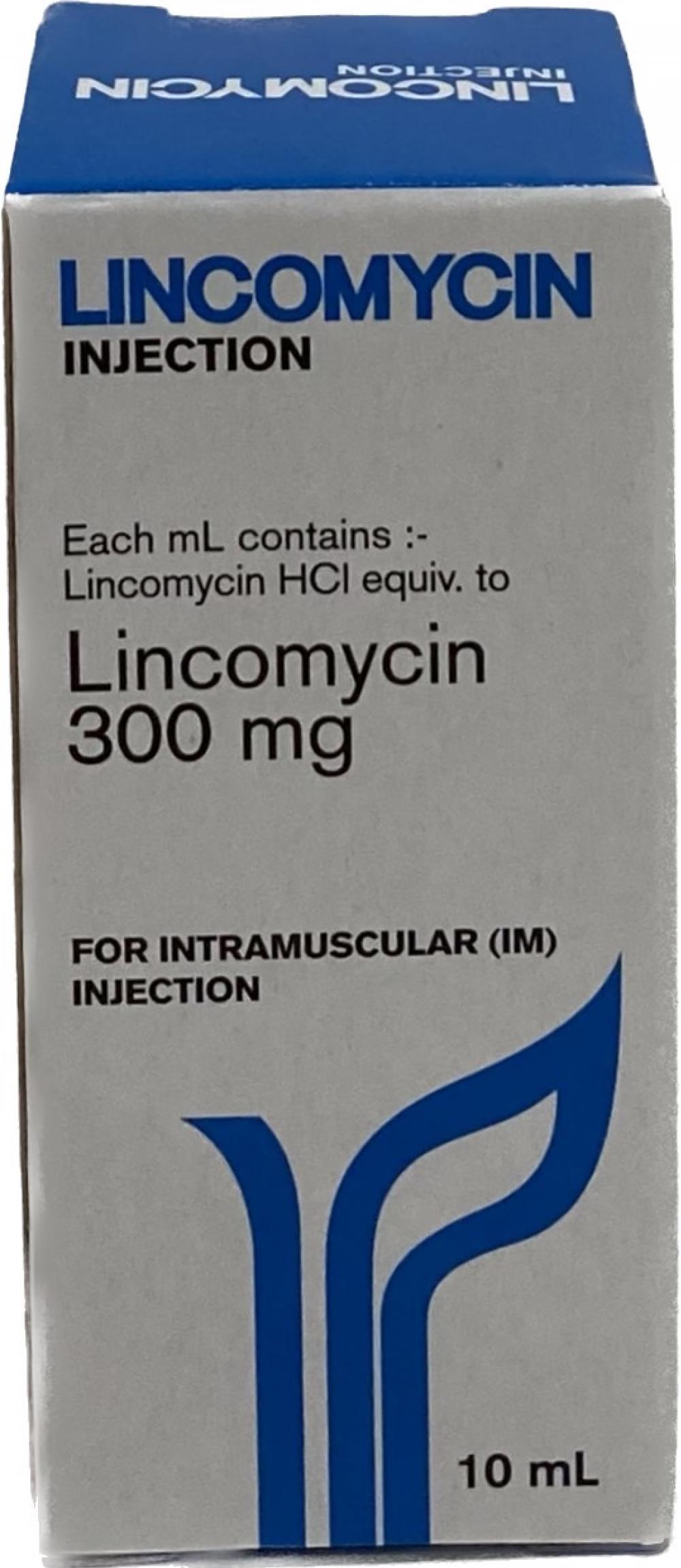 LINCOMYCIN 300MG 10ML TP